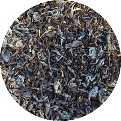 Grand Turk– Jolie Tea Company