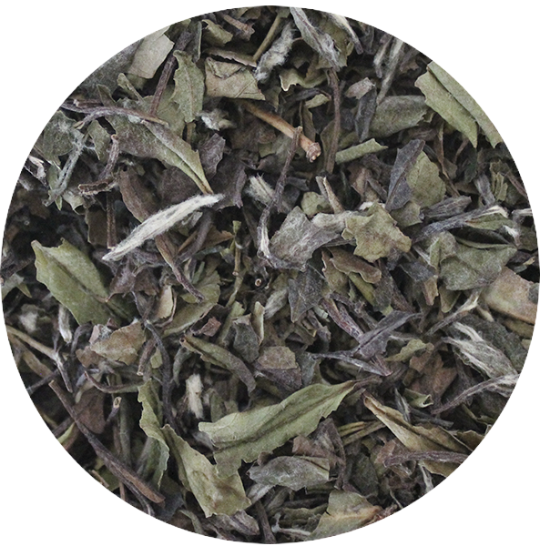 Mango White– Jolie Tea Company