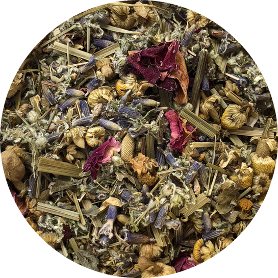 Jolie Tea Company, Salem, MA